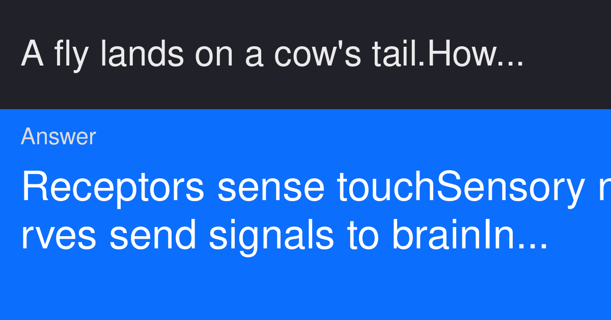 A fly lands on a cow's tail. How does the cow process and respond to ...